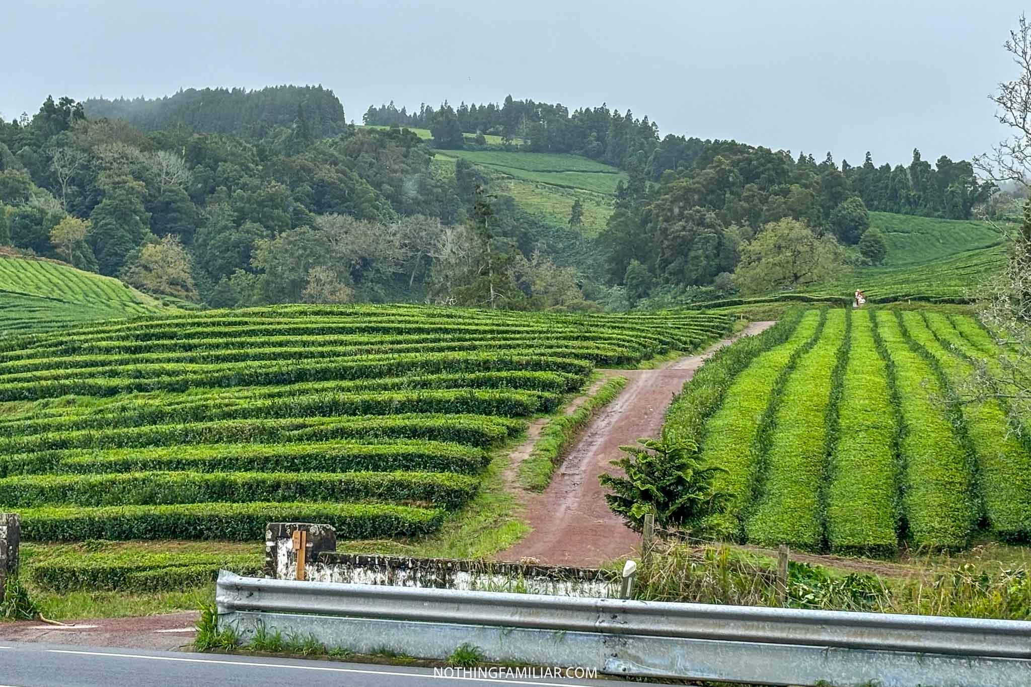 9 Tips For Exploring Sao Miguel Island in the Azores